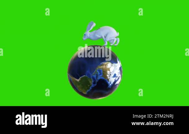 Blue eyes white rabbit running on planet Earth, Easter concept, loop ...