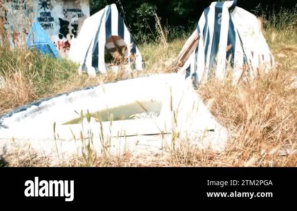 Shelters shelter Stock Videos & Footage - HD and 4K Video Clips - Alamy