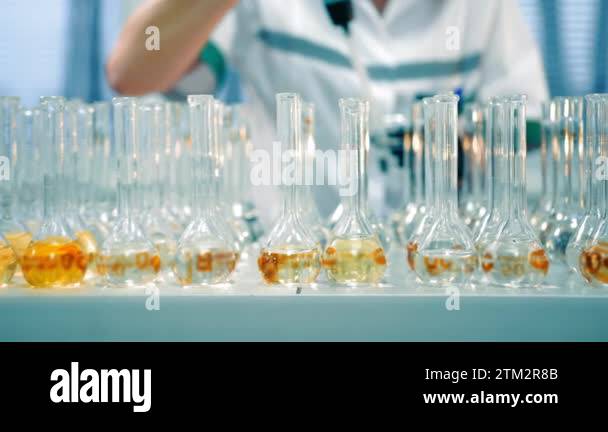 The researcher adds the solution to the test tubes for further study ...