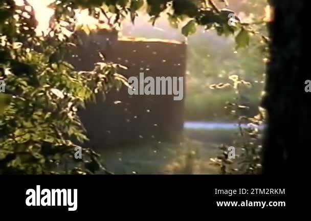 Handheld Vhs Vintage Film, VHS-C summer memories, 8mm analog film. 1980S Home Video, 1990 ...