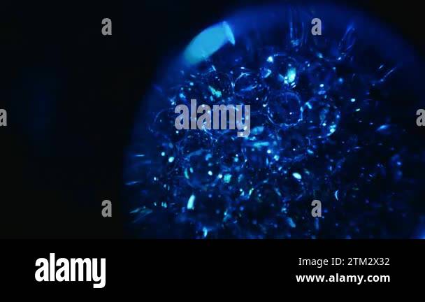 Animation of early embryonic development. Cell division, formation of ...