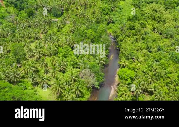 Beautiful natural scenery of river in southeast Asia tropical green ...