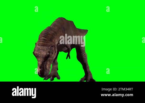 tyrannosaurus rex roaring on green screen Stock Video Footage - Alamy