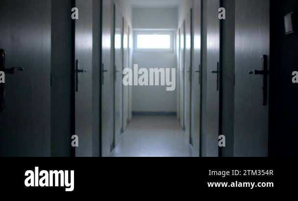 Window cells Stock Videos & Footage - HD and 4K Video Clips - Alamy