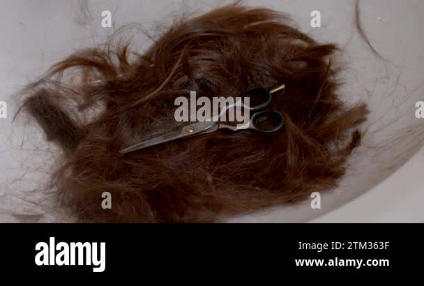 Long hair cut off with scissors before military service. The remains of ...