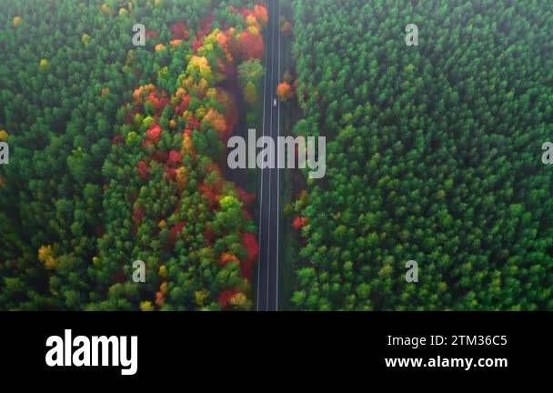 Cars drive on two-lane highway stretching across large forest with lush ...