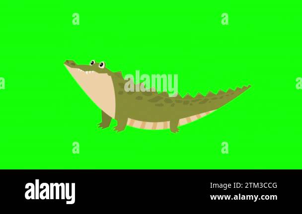 Cartoon crocodile icon loop Animation video transparent background with ...
