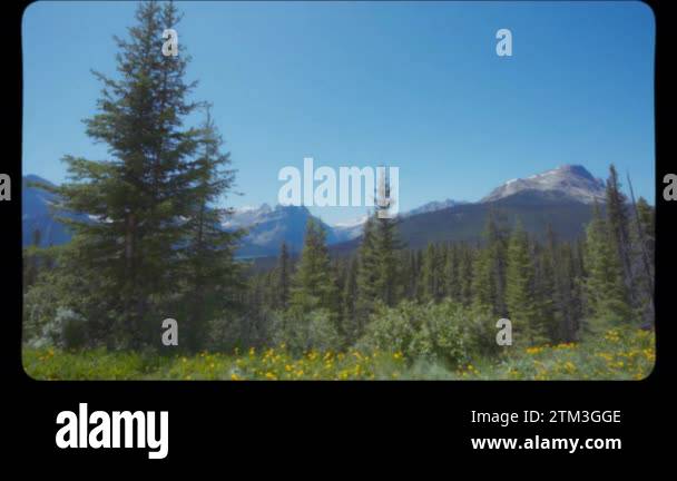 Banff national park trees sky Stock Videos & Footage - HD and 4K Video ...