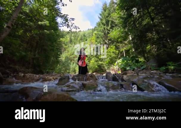 Woman plays the cello in nature. Female musician in black dress ...