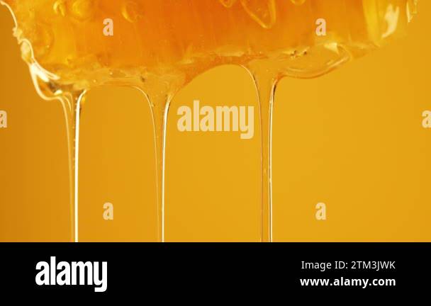 Golden elixir: enchanting macro footage of honey dripping, Natures ...
