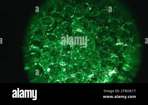 The concept of the ovum. Animation of early embryonic development. Cell ...