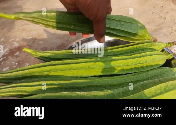 Luffa acutangula. Its other names angled luffa,Chinese okra,dish cloth ...