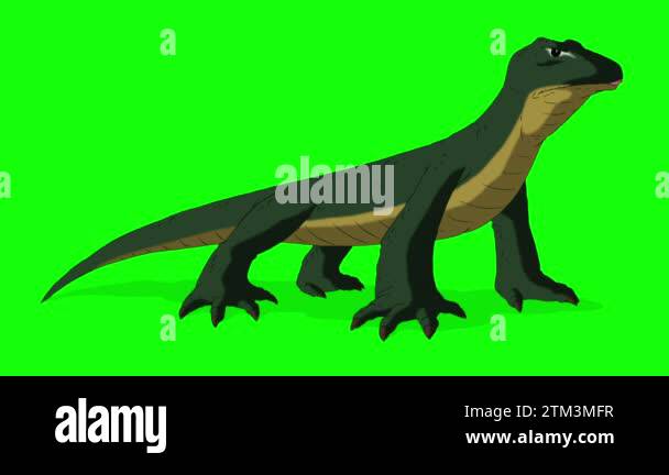 Green Komodo dragon lizard sits chroma key. Handmade animated looped HD ...