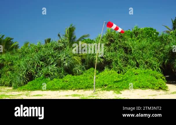 Windsock inflated against plants on the beach Stock Video Footage - Alamy