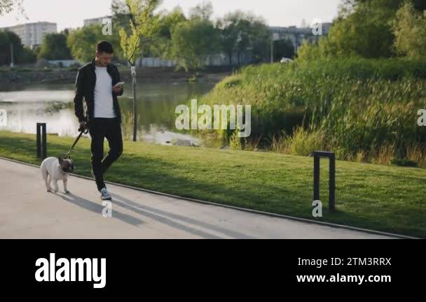 Handsome dogs Stock Videos & Footage - HD and 4K Video Clips - Alamy