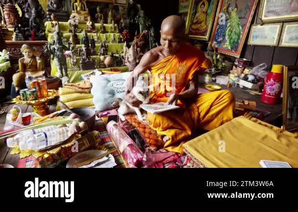 Buddhist monk animal Stock Videos & Footage - HD and 4K Video Clips - Alamy