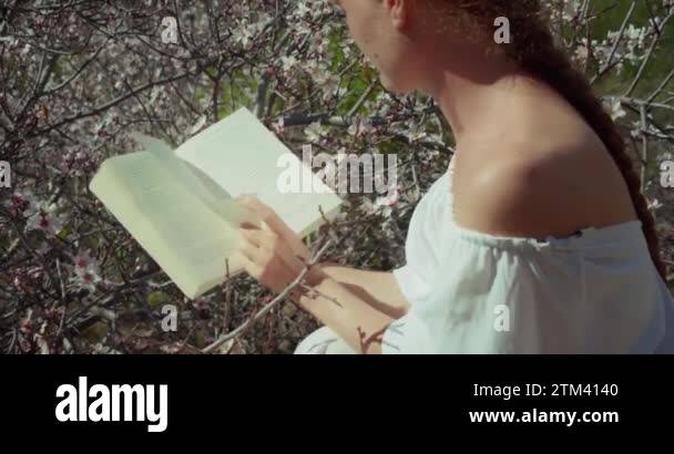 Poetry background Stock Videos & Footage - HD and 4K Video Clips - Alamy