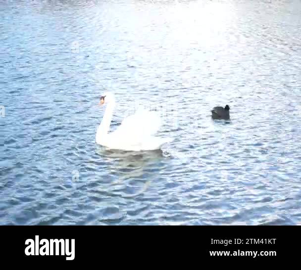 Sturdy open lattice Stock Videos & Footage - HD and 4K Video Clips - Alamy