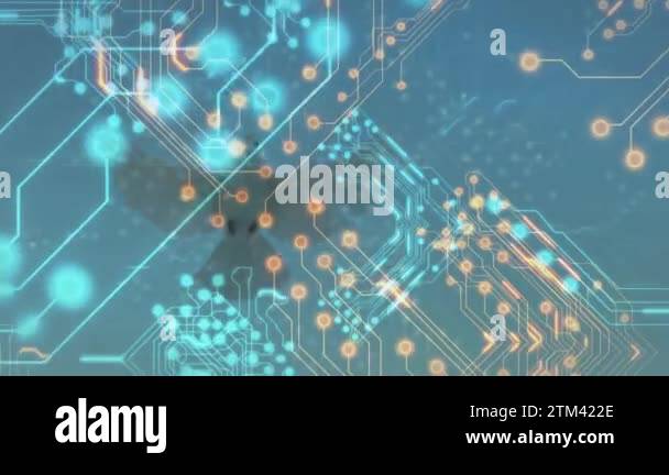 Animation of computer circuit board over dove. Global travel, transport, networks, connections ...