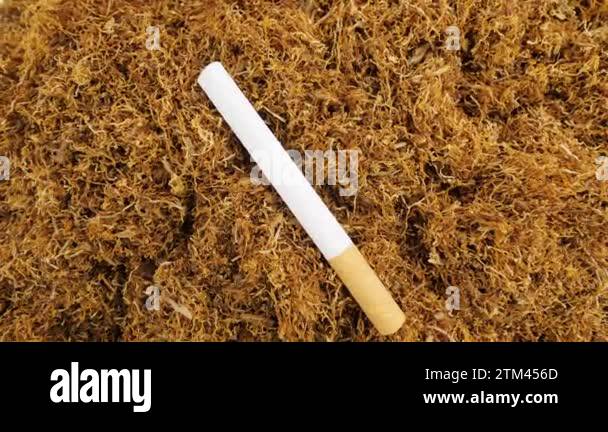 Tabaco smoking cigarette Stock Videos & Footage - HD and 4K Video Clips ...