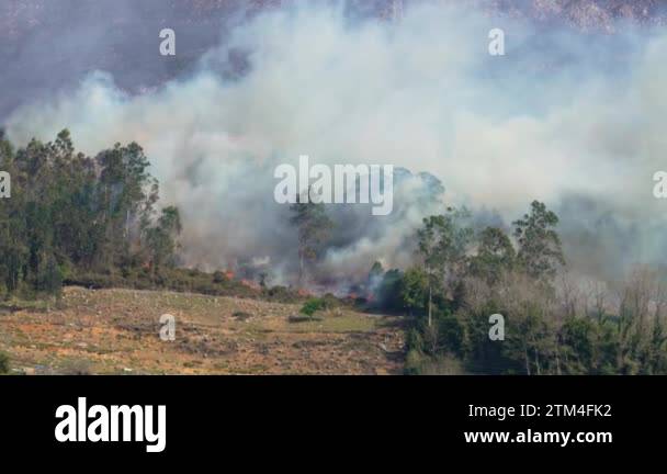Climate emergency spain Stock Videos & Footage - HD and 4K Video Clips ...