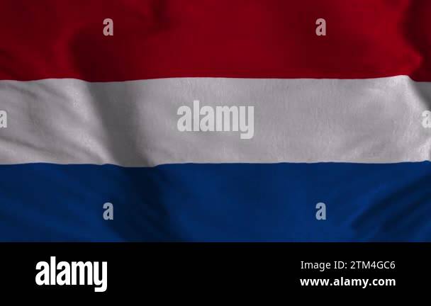 Nedlands flag. Seamless loop animation of the Nedlands flag. 4K Stock ...
