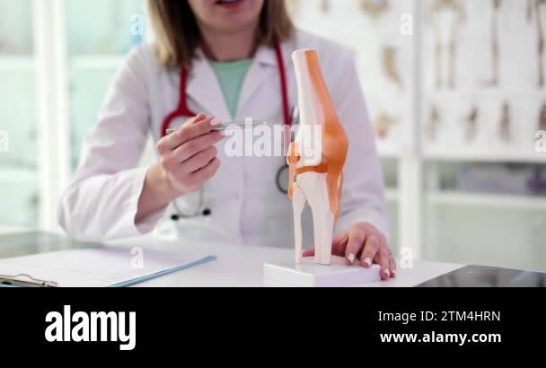 Orthopedic doctor shows anatomical model of knee and tendon closeup ...