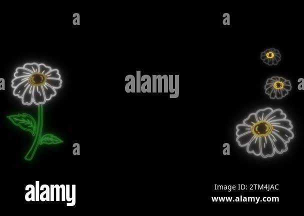 Botanical element Stock Videos & Footage - HD and 4K Video Clips - Alamy