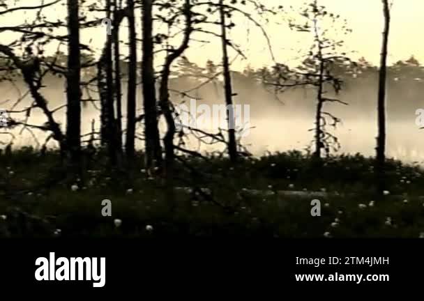 Retro VHS footage, Scan from vintage VHS-C Betacam. Retro camera 8 mm ...