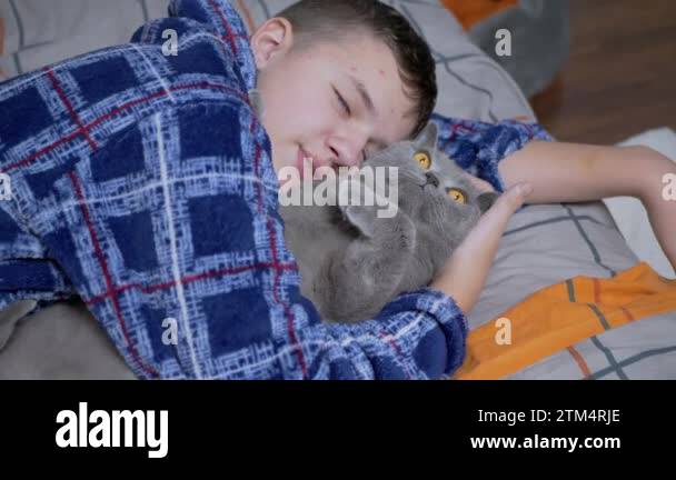 Sleepy Tired Child Falls Asleep on Bed Hugging a Grey Fluffy Cat in ...