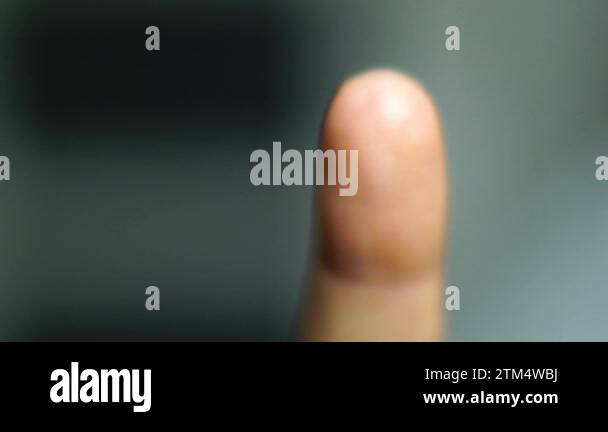 Scan Biometric Authentication Vector Identification System Stock Videos