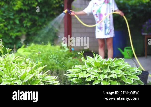 Woman watering flower border Stock Videos & Footage - HD and 4K Video ...