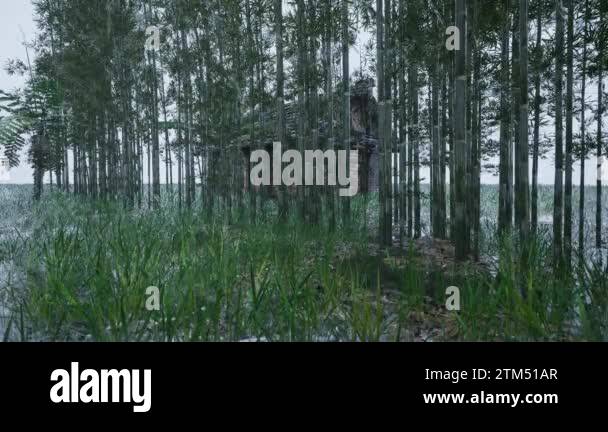 Falling Rain Forest Cabins, Black Background Storm Overlay, Rain Mist, Heavy Rain, Rain Splash ...
