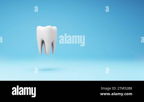 White Tooth Spinning on a Studio Blue Background, Seamless Loop 3D ...