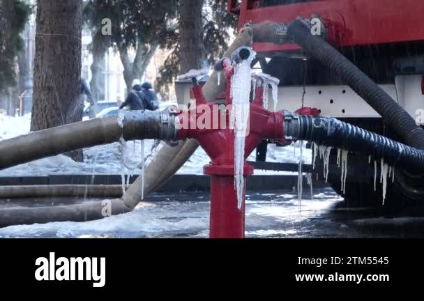 Fire hydrant in bush Stock Videos & Footage - HD and 4K Video Clips - Alamy