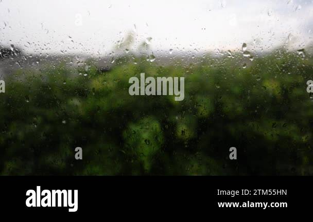 Rain condensation drop Stock Videos & Footage - HD and 4K Video Clips ...