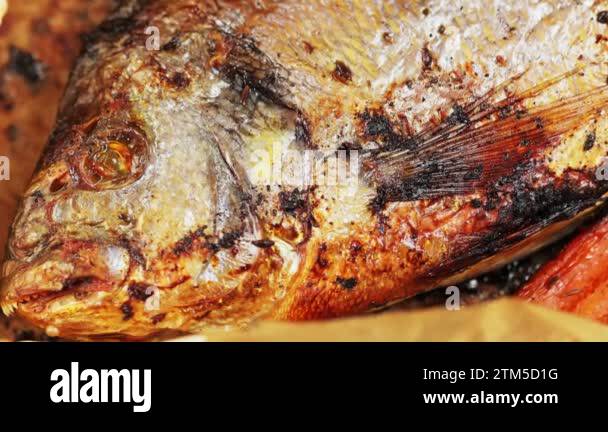 Roasted dorado Stock Videos & Footage - HD and 4K Video Clips - Alamy