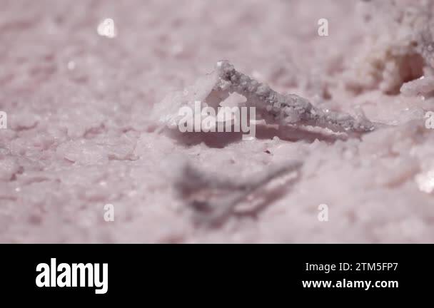 Pink salt crystals. Close up pink salt flakes natural mineral formation ...