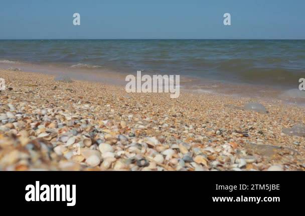 Sea shell beach in sunlight. Shimmering sea wave foams on sand Azov ...