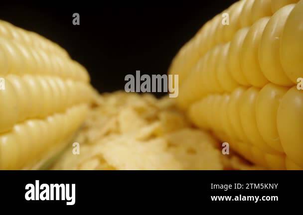 Two corn cobs are placed at the edges of the frame, resting on top of ...