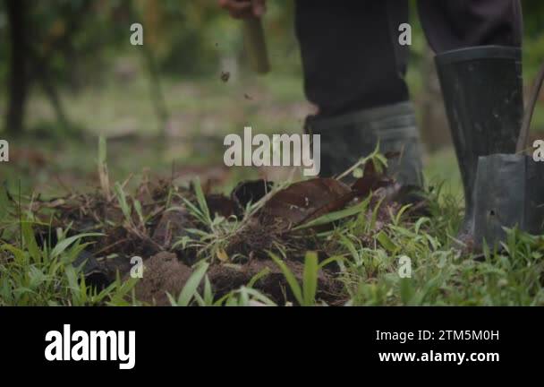 Close-up slow motion shot of farmer hands using a hoe an agriculture ...