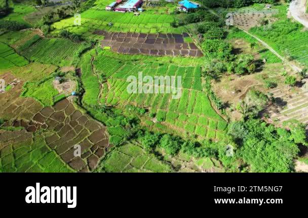 Multiple crops small farm Stock Videos & Footage - HD and 4K Video ...