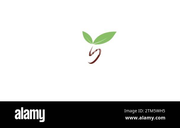 Animation of signs speed leaf. Animated tree and its half turns Stock ...