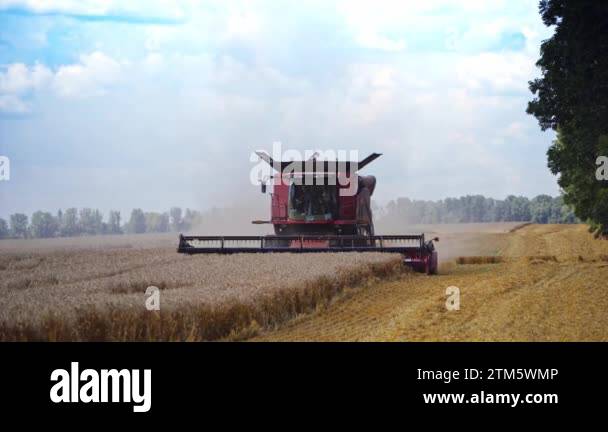 Red combine harvester Stock Videos & Footage - HD and 4K Video Clips ...