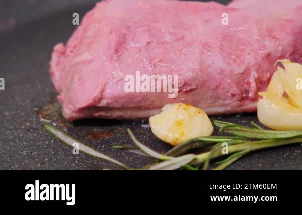 Duck chest Stock Videos & Footage - HD and 4K Video Clips - Alamy