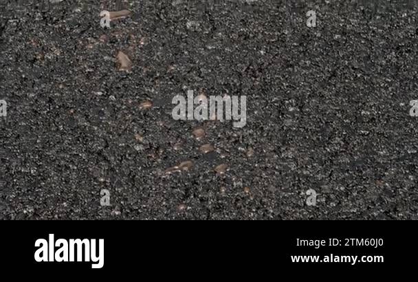 Asphalt laying. Road building asphalt paver is laying a new layer of ...