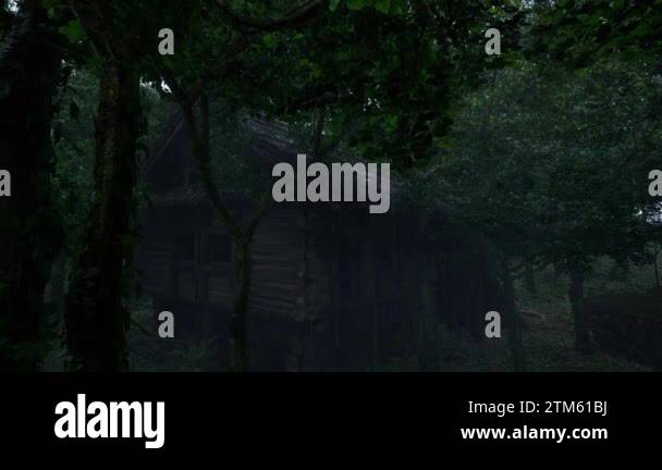 Falling Rain Forest Cabins, Black Background Storm Overlay, Rain Mist, Heavy Rain, Rain Splash ...