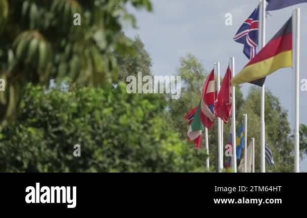 Arctic flags Stock Videos & Footage - HD and 4K Video Clips - Alamy