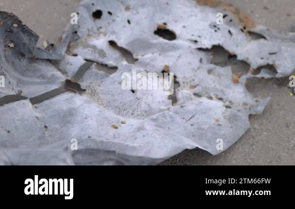 Metal shrapnel explosion Stock Videos & Footage - HD and 4K Video Clips ...