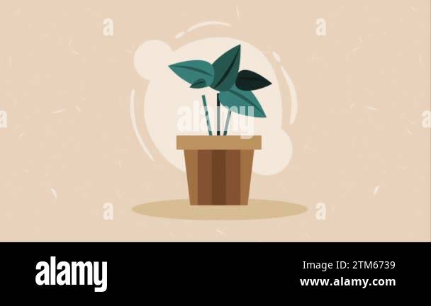 Classic pot Stock Videos & Footage - HD and 4K Video Clips - Alamy
